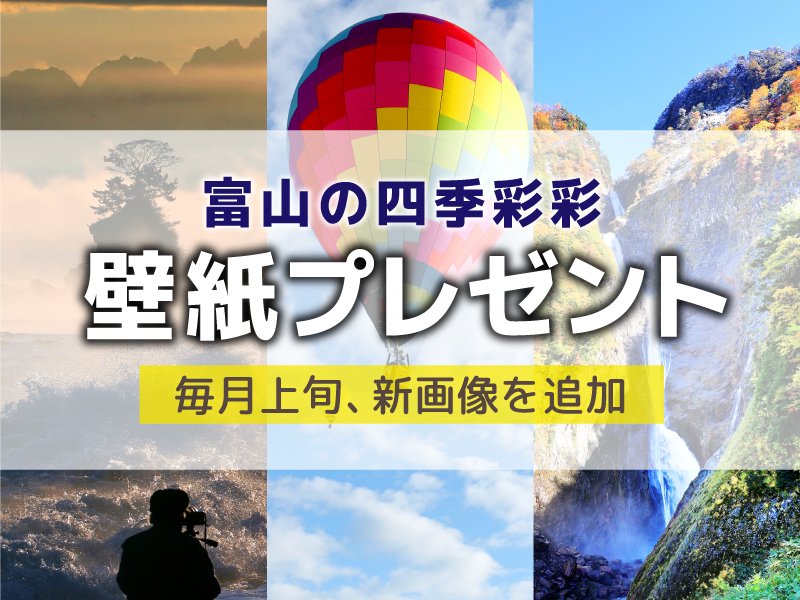 壁紙プレゼント（2023年11月）｜北日本新聞webunプラス