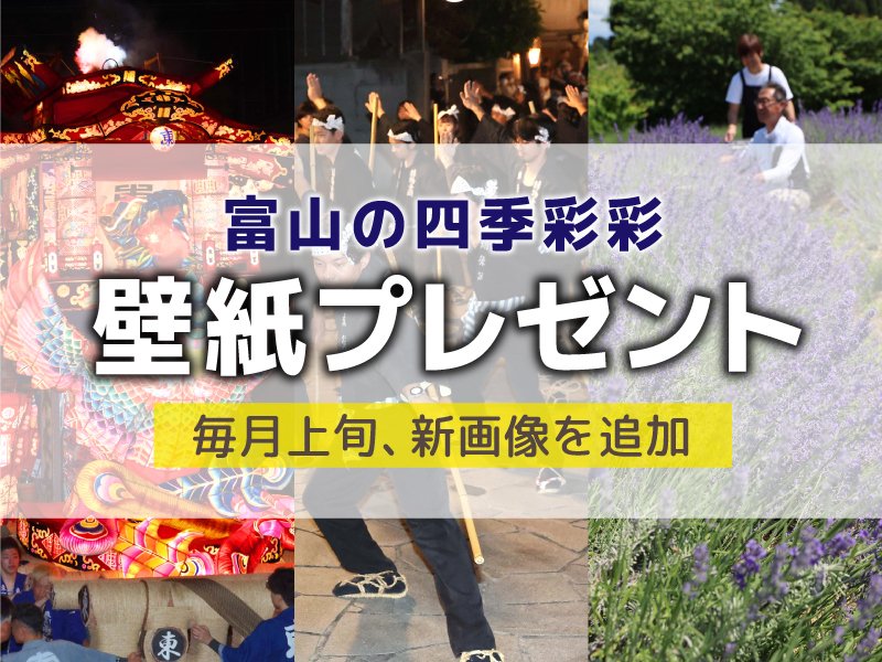 壁紙プレゼント（2025年6月）「となみ夜高まつり」「御印祭」「ラベンダー」｜北日本新聞webunプラス