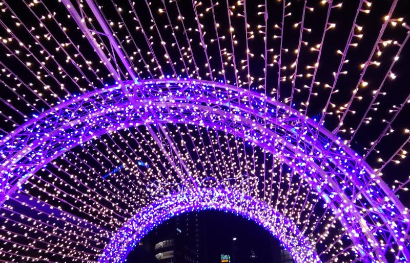 イルミネーション＠環水公園＆富山駅 コノコト｜北日本新聞webunプラス