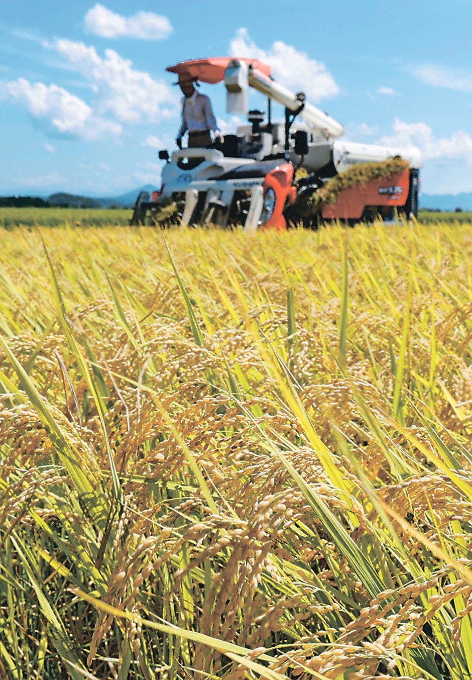 「異常が日常」に危機感 夏の気温過去最高、農作物被害も深刻｜北日本新聞webunプラス