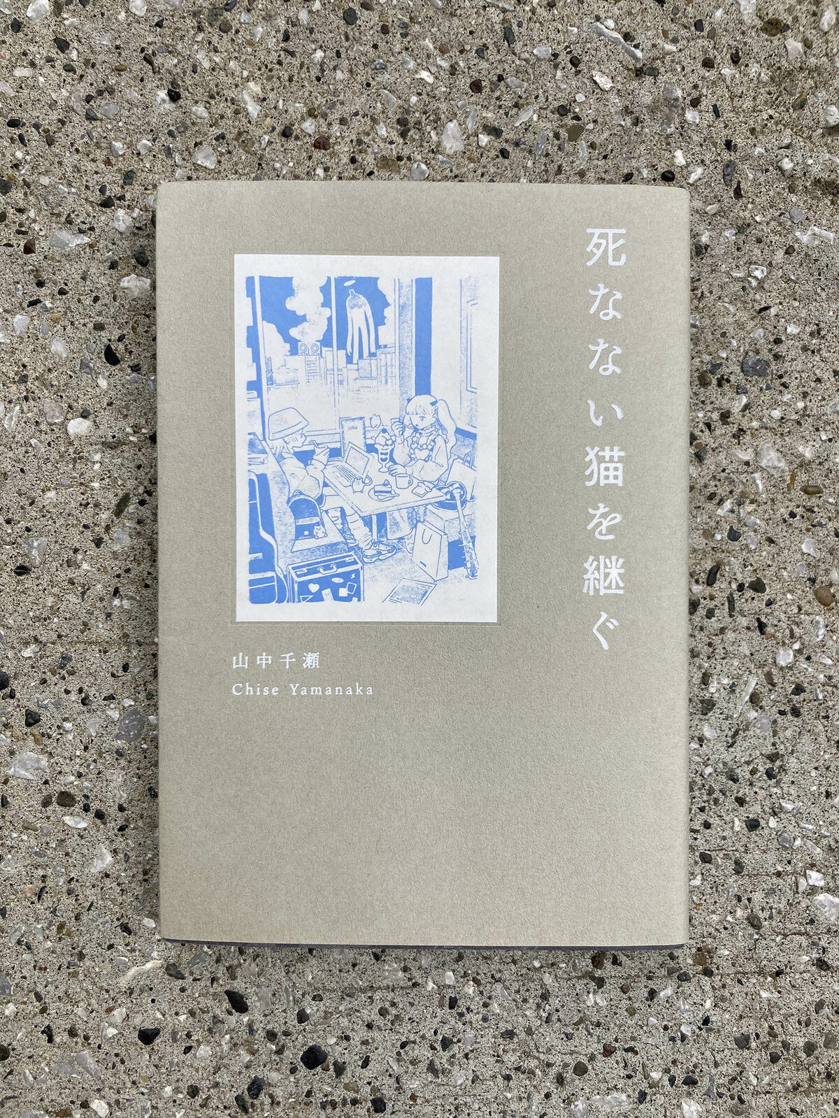 世知辛い社会ではない世界へと旅立つために／綾門優季 『死なない猫を継ぐ』山中千瀬｜北日本新聞webunプラス
