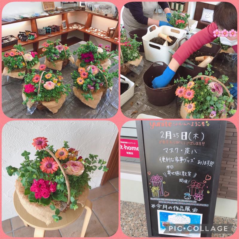 寄せ植え教室を開催しました♪ コノコト｜北日本新聞webunプラス