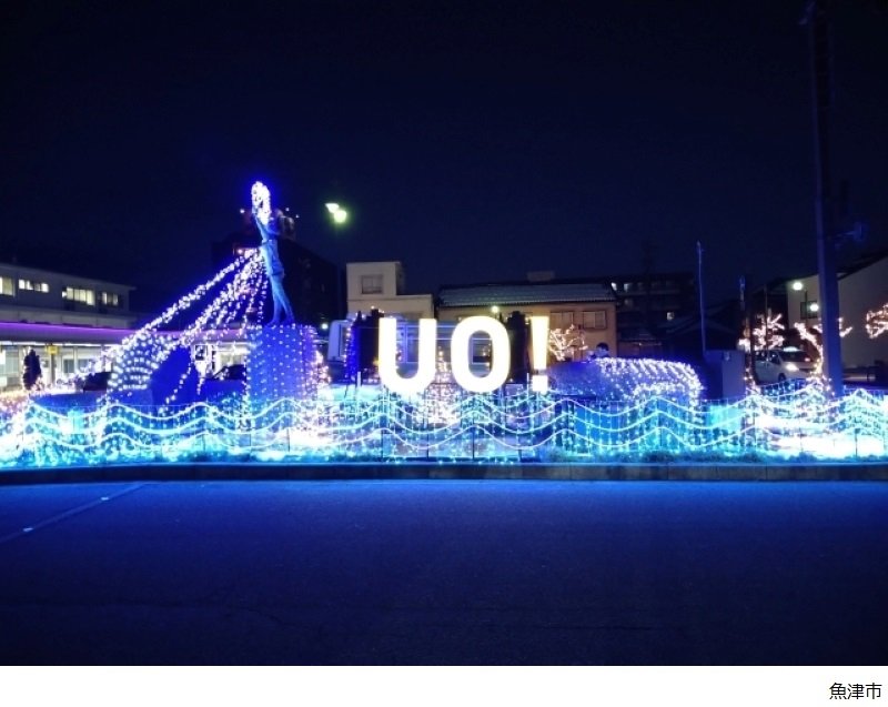 イルミラージュUOZU｜北日本新聞webunプラス
