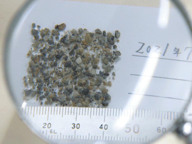 おでかけを自由研究にする「砂の標本」作り コノコト｜北日本新聞webunプラス