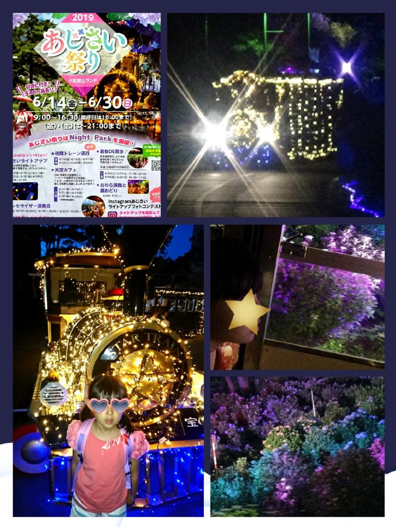 夜のあじさい祭り in 太閤山ランド コノコト｜北日本新聞webunプラス