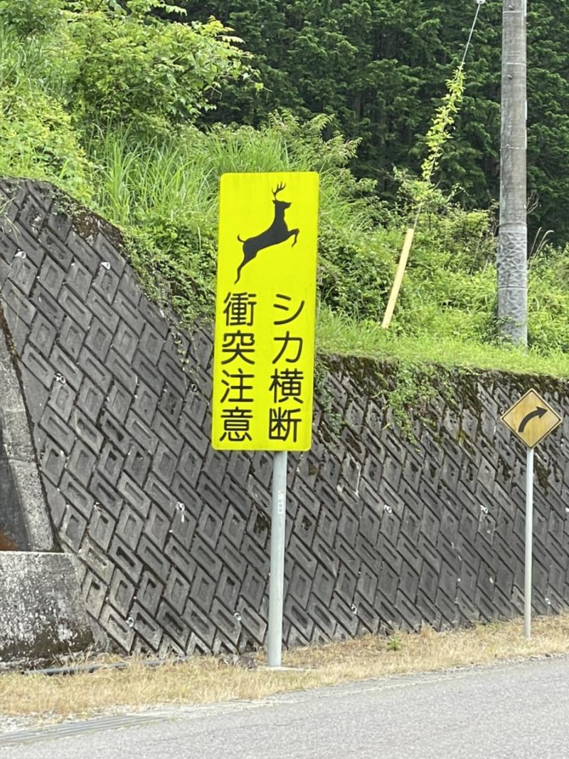 （31）暗闇で車にアタック！正体は…！？【やちやちが行く！！】 コノコト｜北日本新聞webunプラス