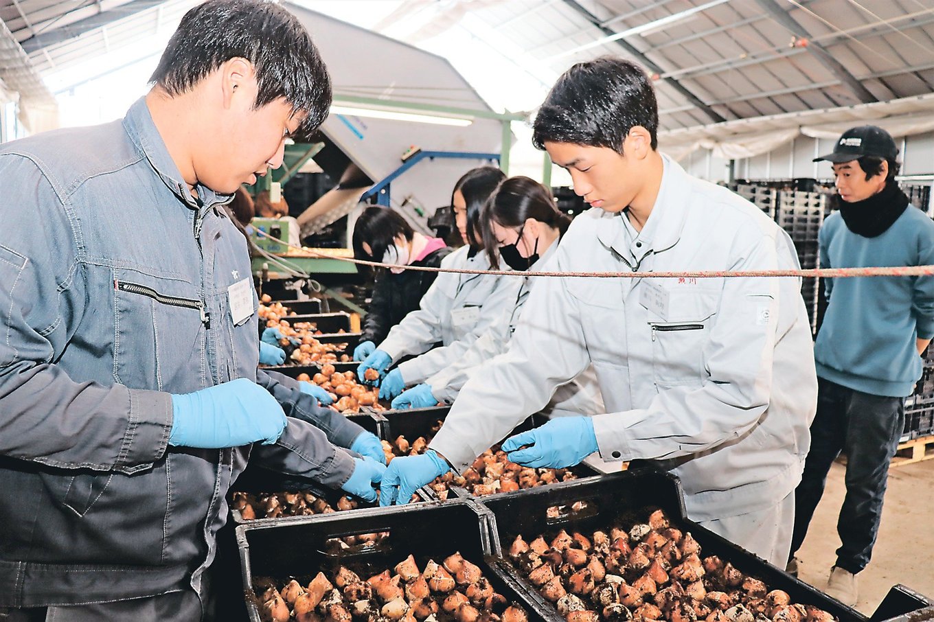 農業の働きがい理解 砺波・南砺で高校生が作業体験｜北日本新聞webunプラス