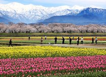 子どもが喜ぶサービスも★本格コーヒーが楽しめる「自家焙煎珈琲豆 BEANS」【親子でGO！オイシイおでかけ⑩】 コノコト｜北日本新聞webunプラス