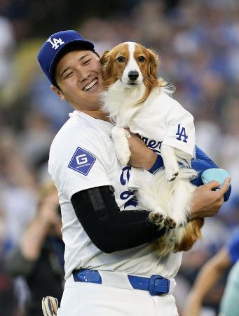 大谷、愛犬デコピンの絵本出版へ｜北日本新聞webunプラス