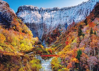 読者写真コンクール10月の入選作・最終選考進出作（2024年）｜北日本新聞webunプラス