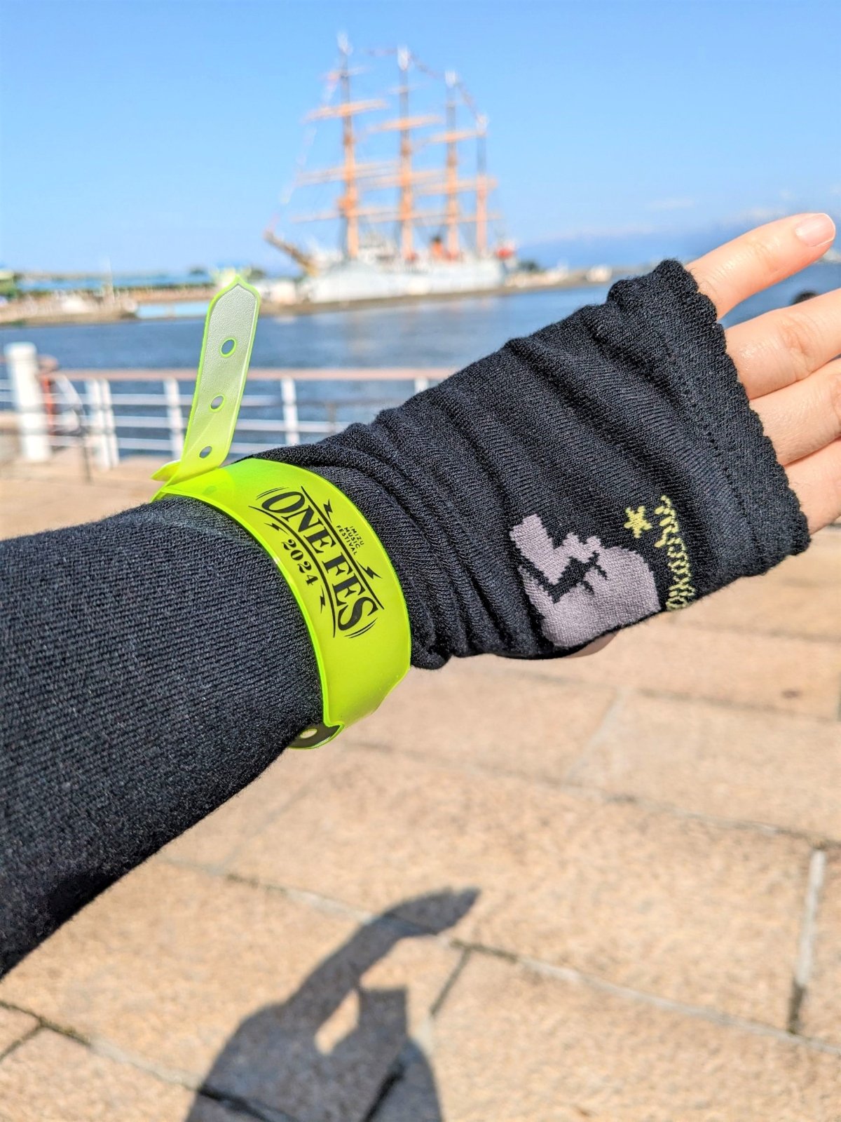 大声で歌い、腕上げっぱなし！盛り上がったワンフェス コノコト｜北日本新聞webunプラス