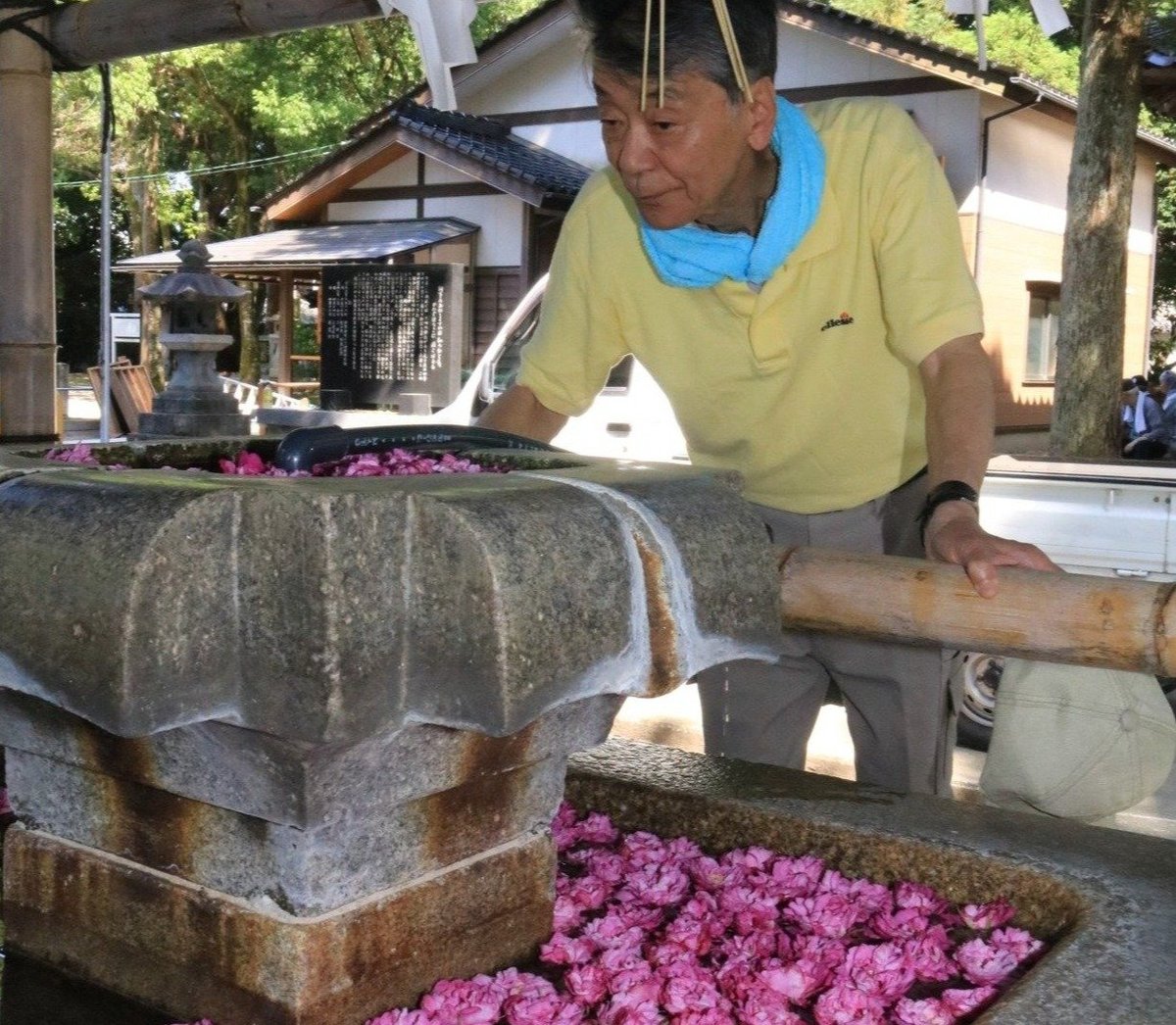 無病願い爽やかな夏を 射水・十社大神で30日夏越の大祓、茅の輪設置 手水に市産食香バラ｜北日本新聞webunプラス