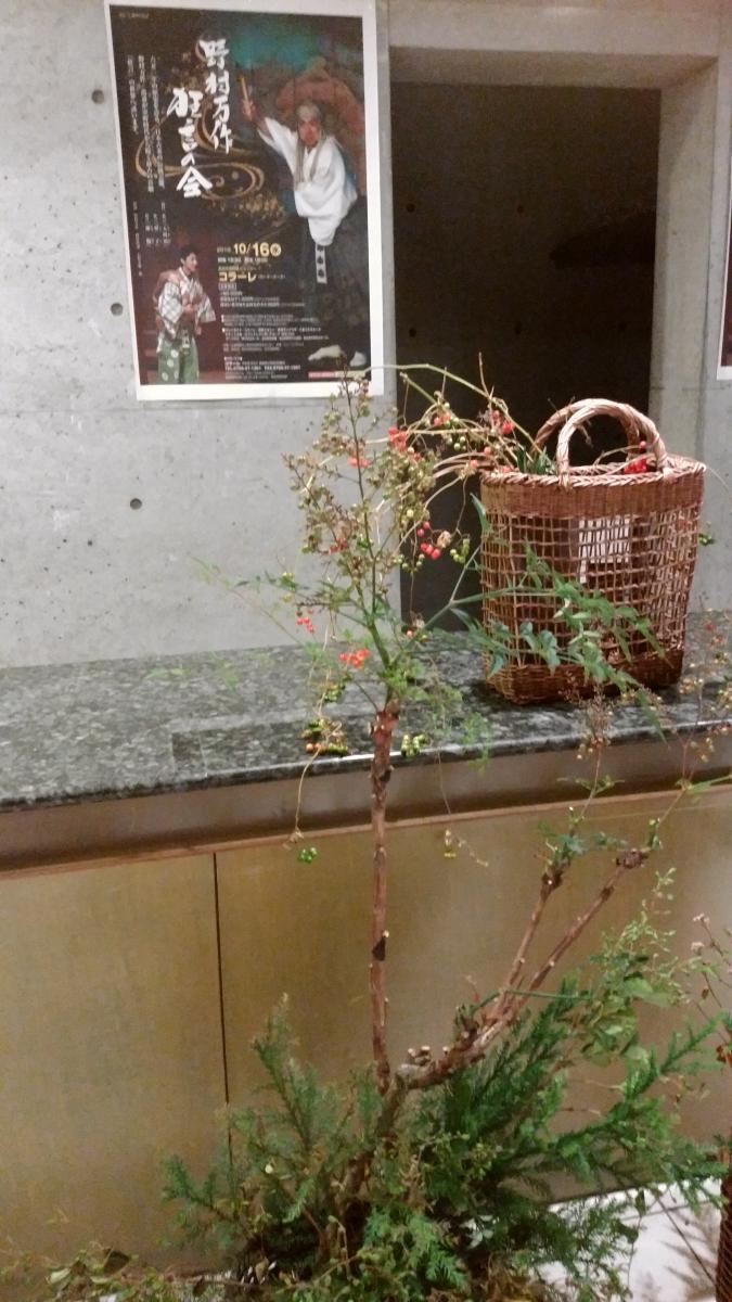 狂言の会 コノコト｜北日本新聞webunプラス