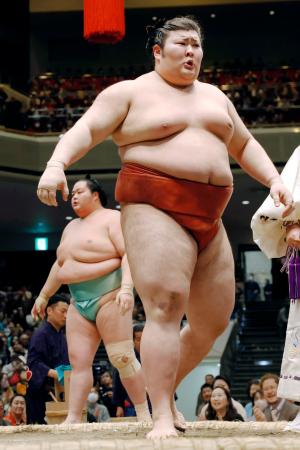 大相撲、勝負審判が見誤るミス｜北日本新聞webunプラス