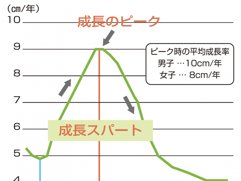 【レシピあり】成長スパートを見逃すな！【成長期の勝てる！体づくり(26)】 コノコト｜北日本新聞webunプラス