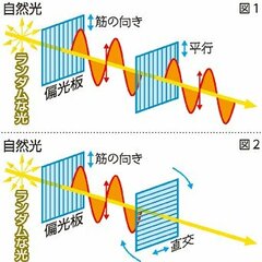 こども・NIE｜富山のニュース｜北日本新聞webunプラス