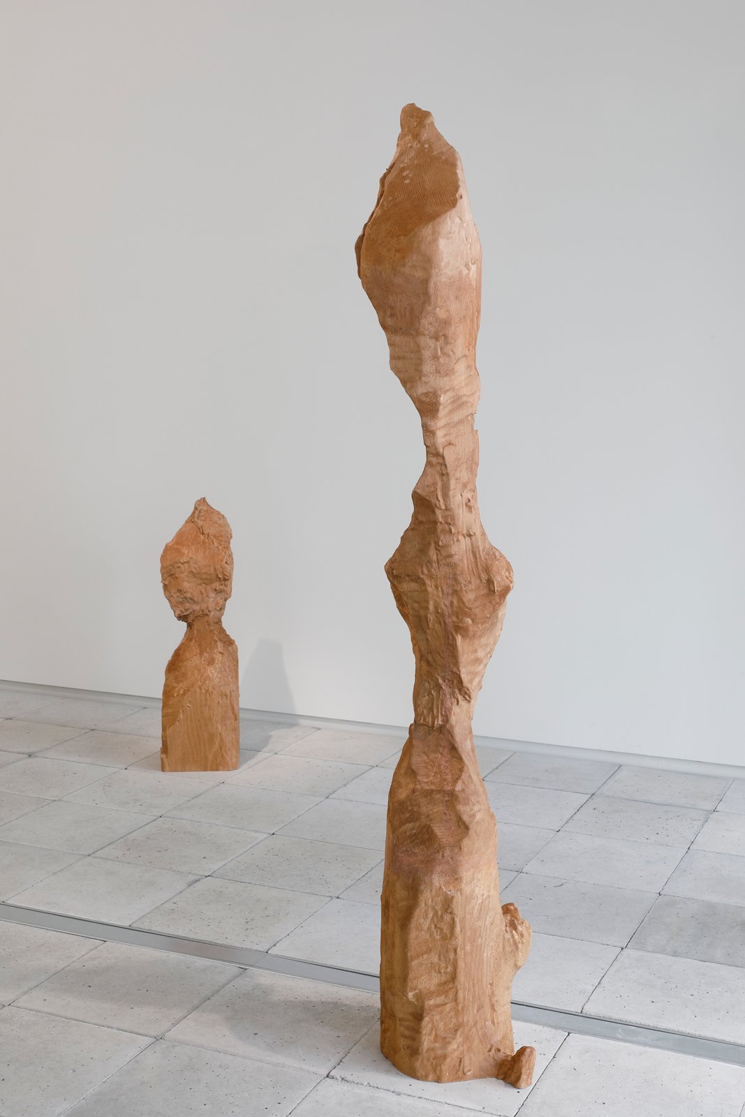 問いを生むビーバーの歯/AKI INOMATA『彫刻のつくりかた』【金沢21世紀美術館・art report （26）】｜北日本新聞webunプラス