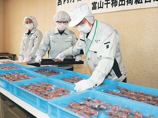 干し柿を皇室に献上 出荷組合連合会、特上から20個選ぶ｜北日本新聞webunプラス