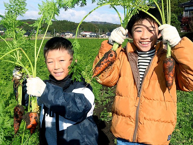 ニンジン採れた！、料理も楽しむ 小学生親子、小矢部で農業体験｜北日本新聞webunプラス