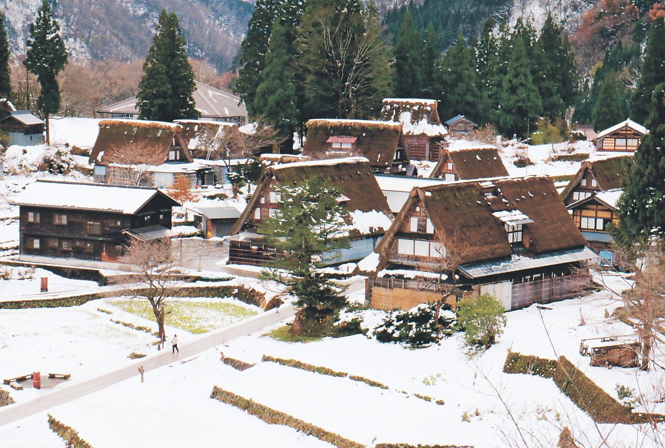 世界遺産宿泊、なんと32万円 海外富裕層向けに南砺市観光協会、相倉合掌家屋1棟貸し切り｜北日本新聞webunプラス