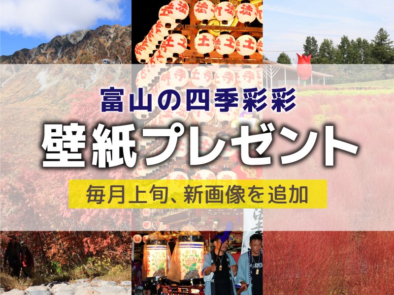 壁紙プレゼント（2024年10月） 今月は「立山・タンボ平」「新湊曳山まつり」「コキア」｜北日本新聞webunプラス