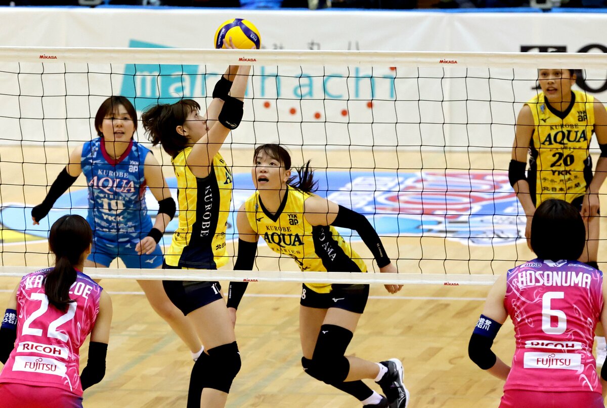 バレーSVリーグ参戦へ新チーム構築図るアクア｜北日本新聞webunプラス