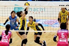 KUROBE アクアフェアリーズ｜富山のスポーツ｜北日本新聞webunプラス