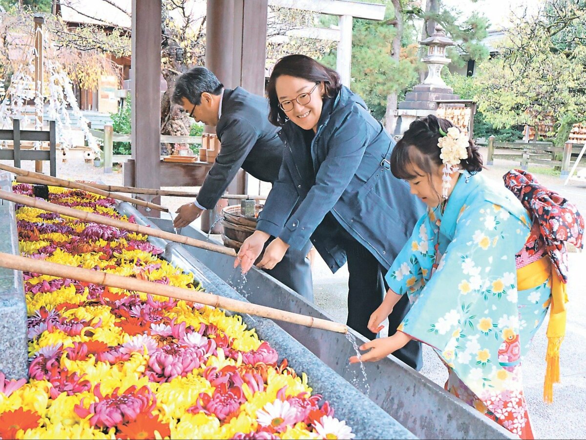 色鮮やかな菊楽しんで 高岡の射水神社に「花手水」｜北日本新聞webunプラス