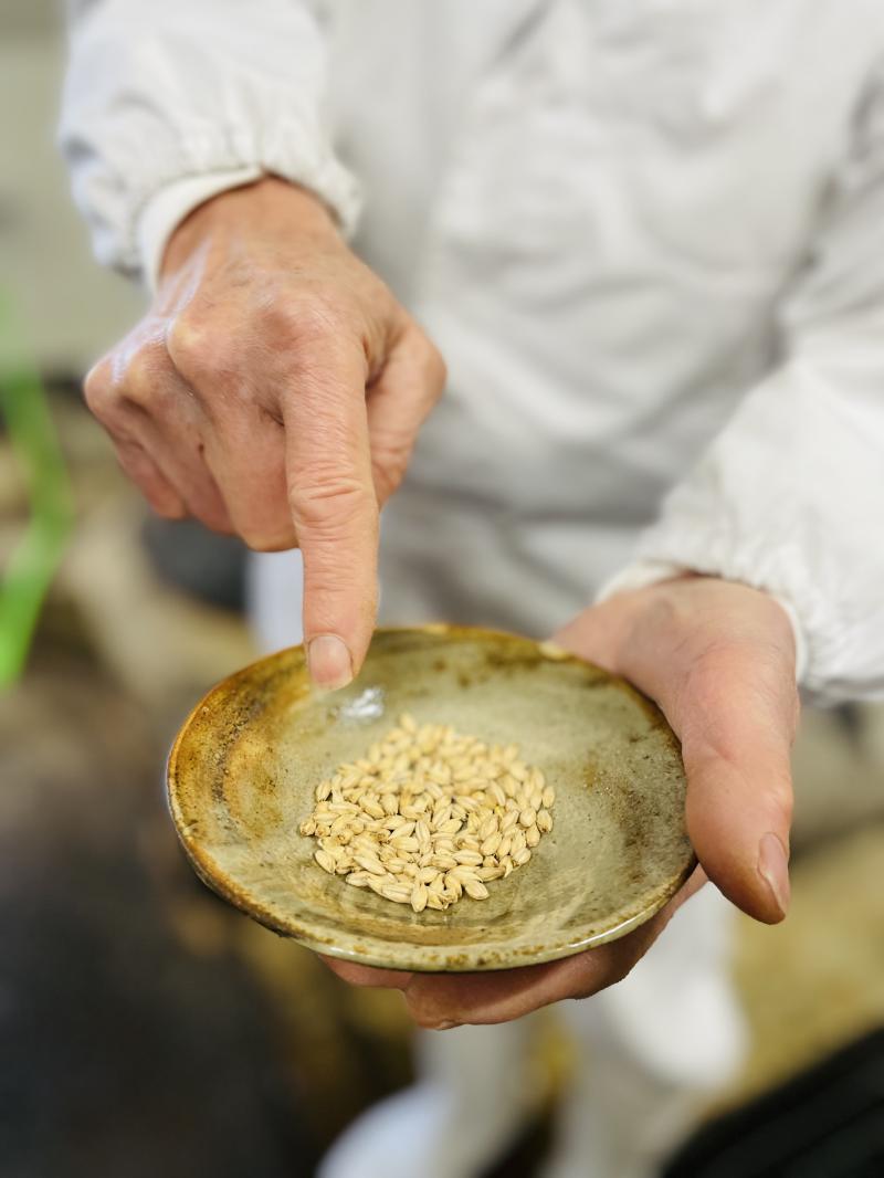 TOYAMA体験①【島川あめ店】 コノコト｜北日本新聞webunプラス