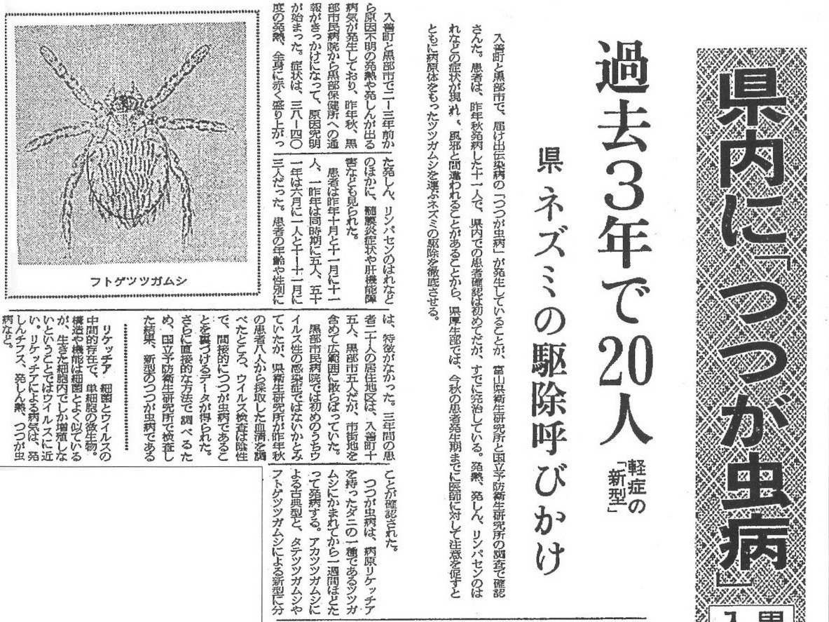 3月3日の歴史県内初の「つつが虫病」確認 1979年｜北日本新聞webunプラス