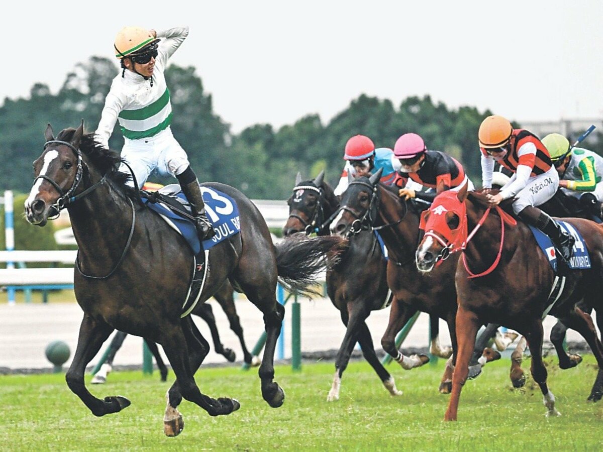 ソウルラッシュGI初制覇 競馬のマイルCS、重賞は4勝目｜北日本新聞webunプラス