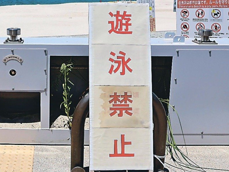 観光客避難誘導に課題 日本沿岸に津波、酷暑の環境 検証必要｜北日本新聞webunプラス