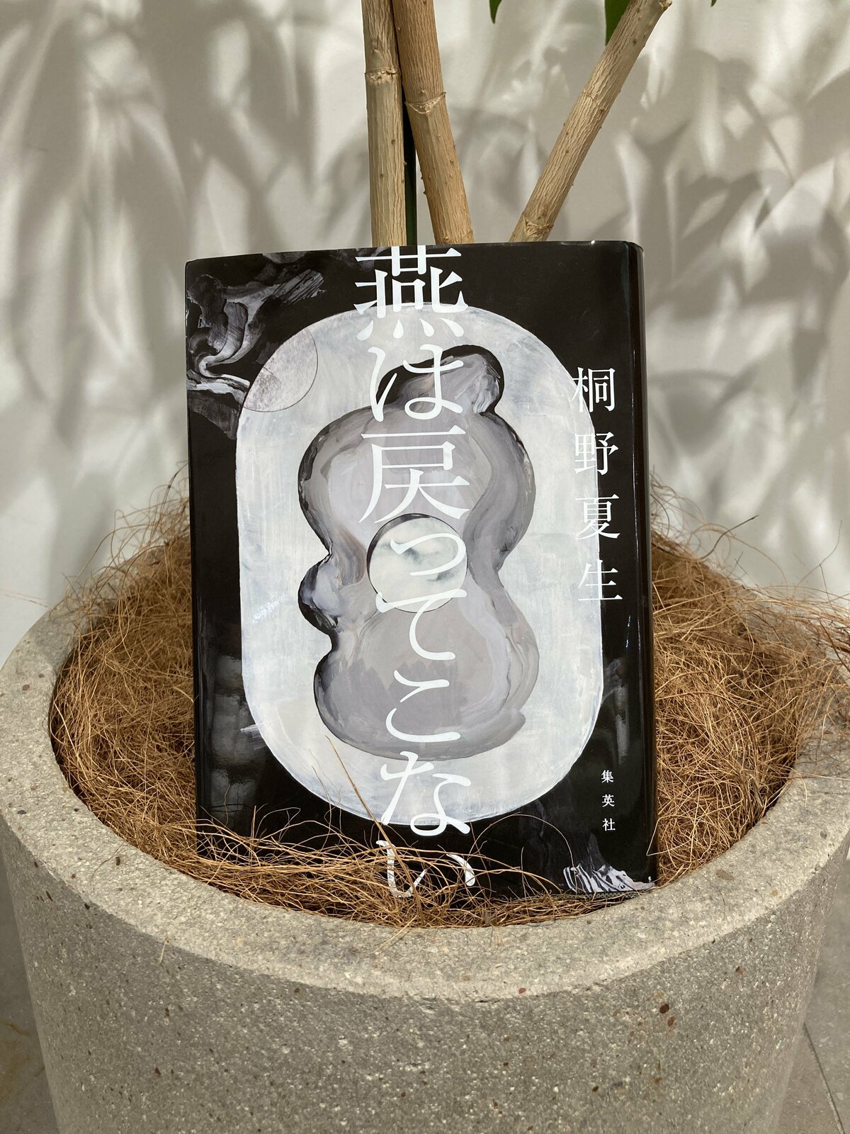 格差社会じゃない社会に次こそは生まれ変わりますように／綾門優季『燕は戻ってこない』桐野夏生著｜北日本新聞webunプラス