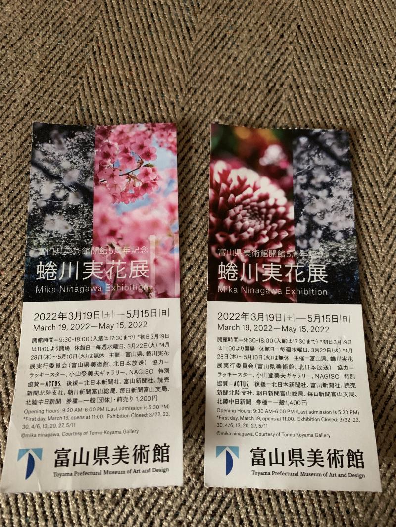 富山県美術館5周年記念 蜷川実花展 コノコト｜北日本新聞webunプラス