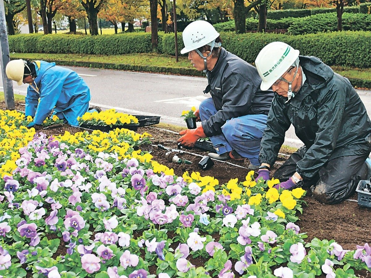 空の玄関口に色とりどり1620株 県内造園業者、富山空港前花壇に植える｜北日本新聞webunプラス