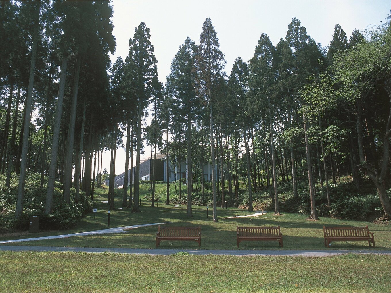 【特集】北陸新幹線で福井へ行こう②（芦原温泉駅周辺）｜北日本新聞webunプラス