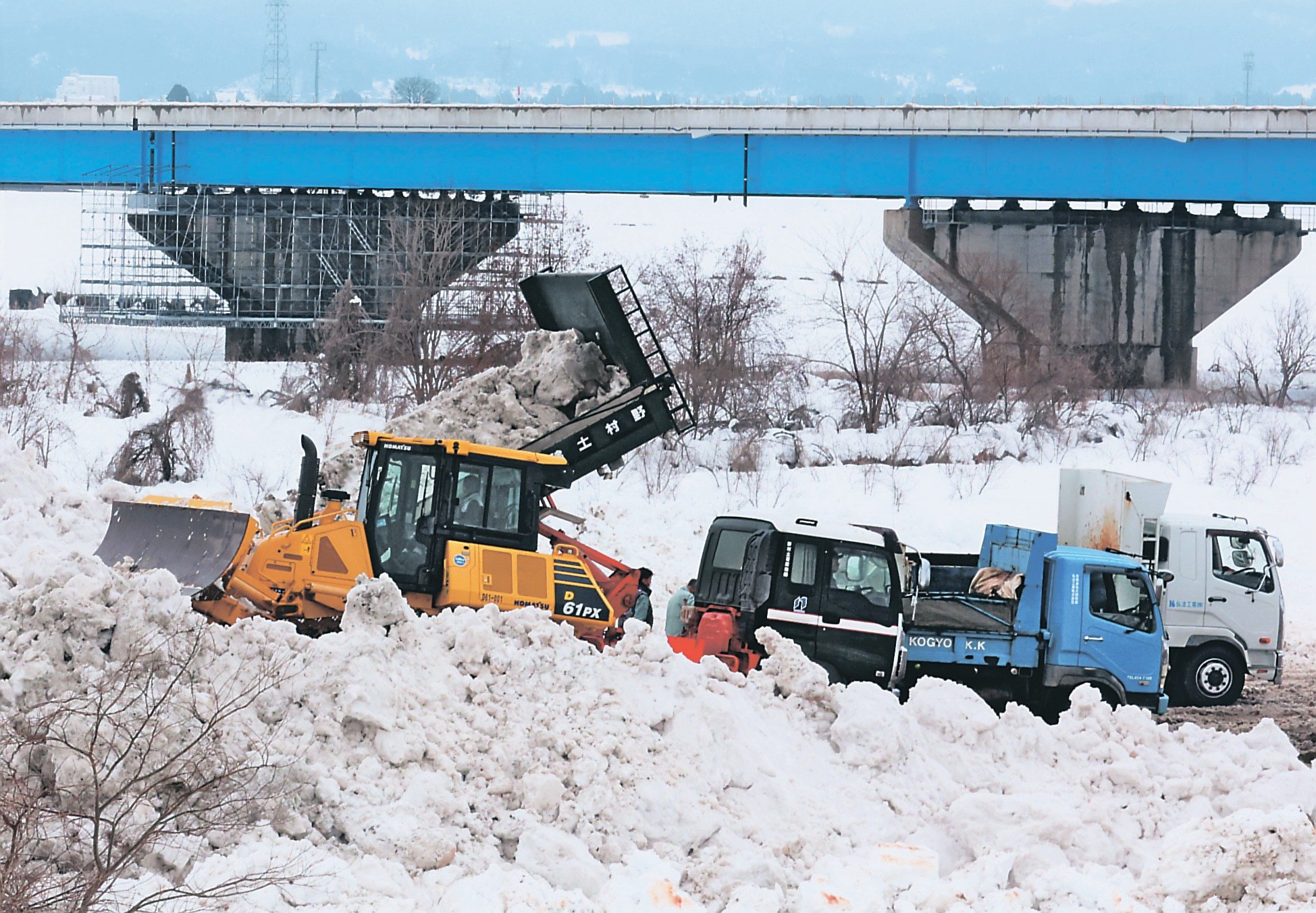 県内大雪、重軽傷22人に 除雪中に転落・転倒｜北日本新聞webunプラス