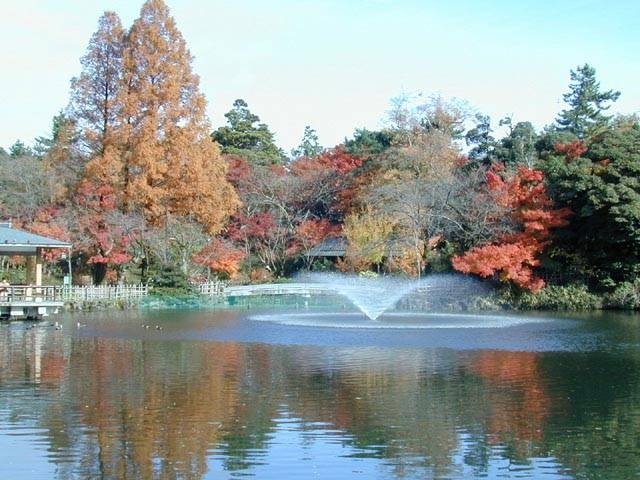 高岡古城公園｜北日本新聞webunプラス