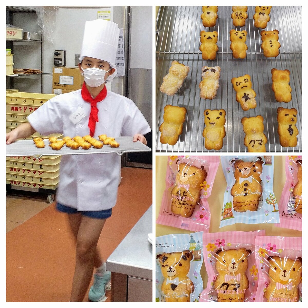 パティシエ・ピザ職人・左官etc. 楽しいお仕事体験♪（ジョブキッズ編）【夏休み体験記㉓】 コノコト｜北日本新聞webunプラス