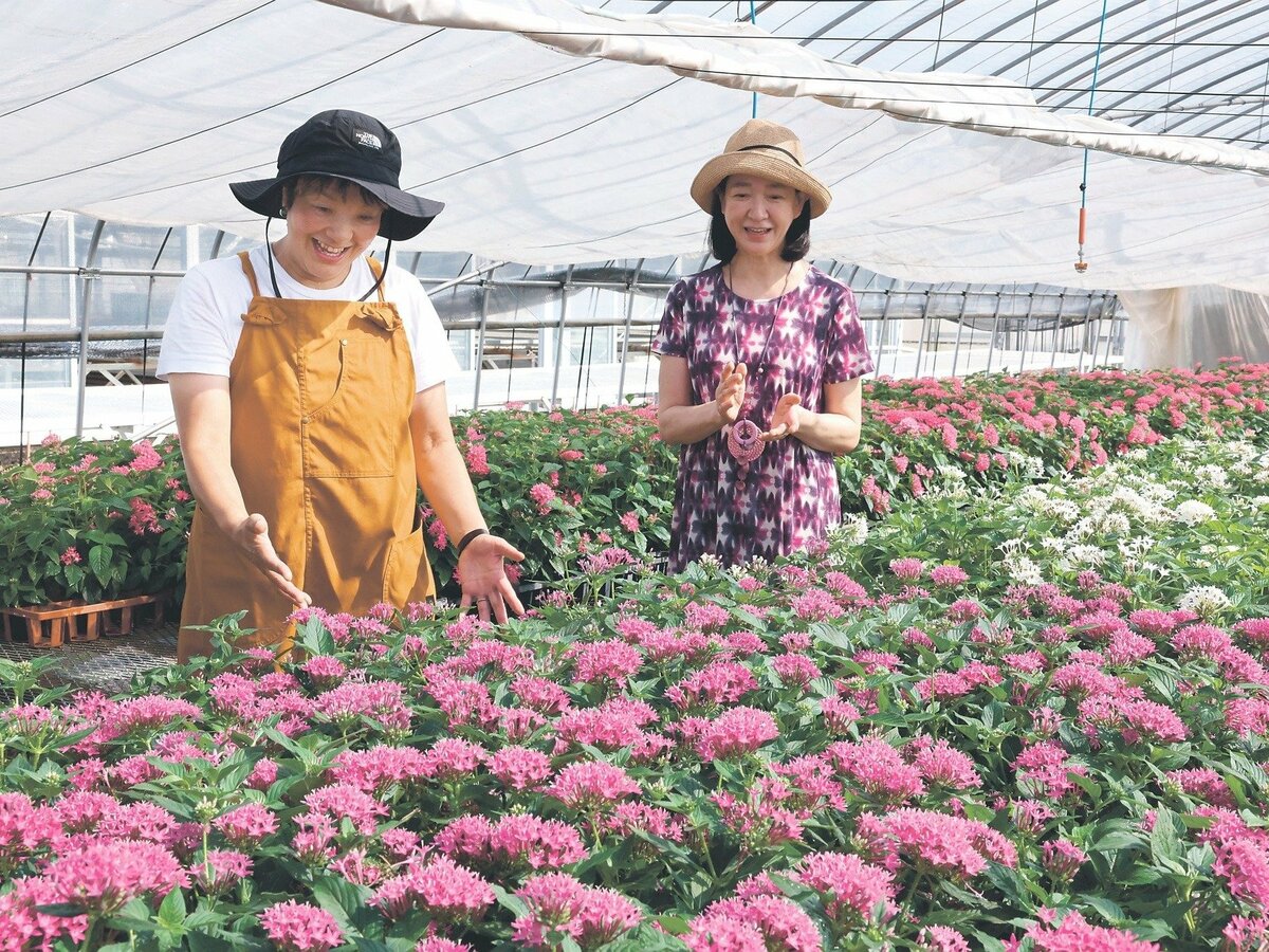 紺野美沙子×とやまの情熱人（17）フラワーンダフル千華園代表 石村修子さん（45）南砺市｜北日本新聞webunプラス