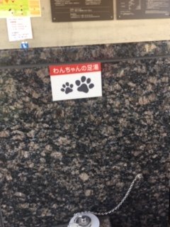 足湯に行ってきました コノコト｜北日本新聞webunプラス