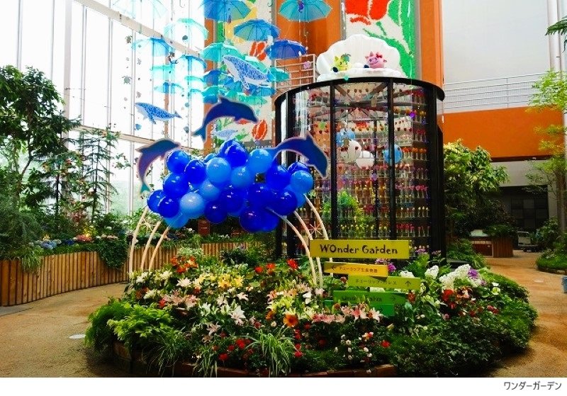 季節展示「夏の庭」｜北日本新聞webunプラス