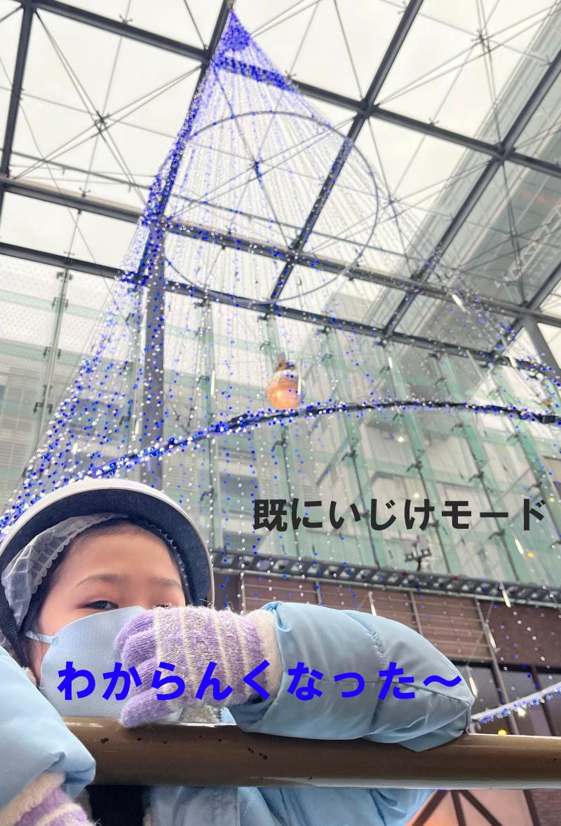 エコリンク最終日 コノコト｜北日本新聞webunプラス