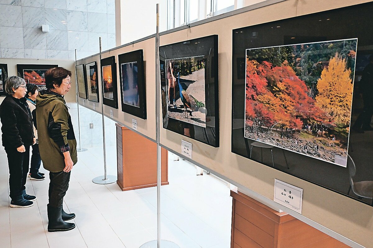 県内外の美しい風景紹介 富山・大沢野地域の写真愛好者、地元で作品展｜北日本新聞webunプラス