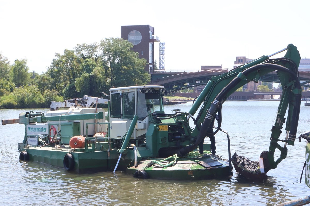 特殊作業船で水草を根元から除去 富山・環水公園で大量発生予防に初実施｜北日本新聞webunプラス
