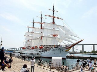 青空に帆広げ 射水で海王丸が優美な姿｜北日本新聞webunプラス