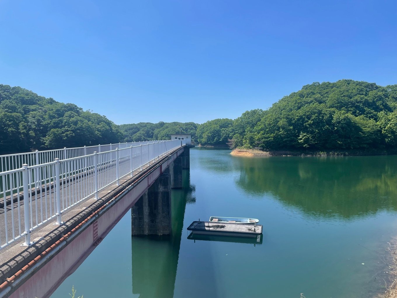 とみふる｜北日本新聞webunプラス