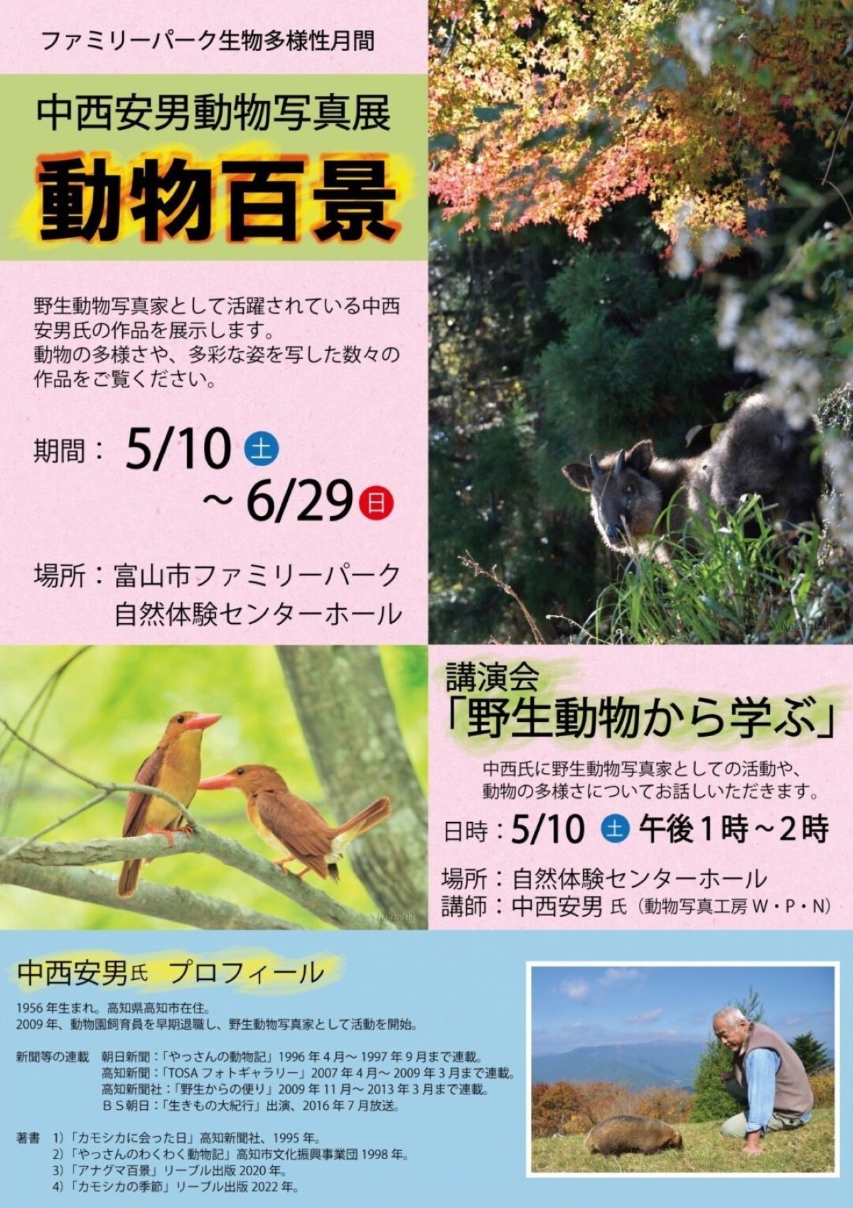 中西安男動物写真展「動物百景」｜北日本新聞webunプラス