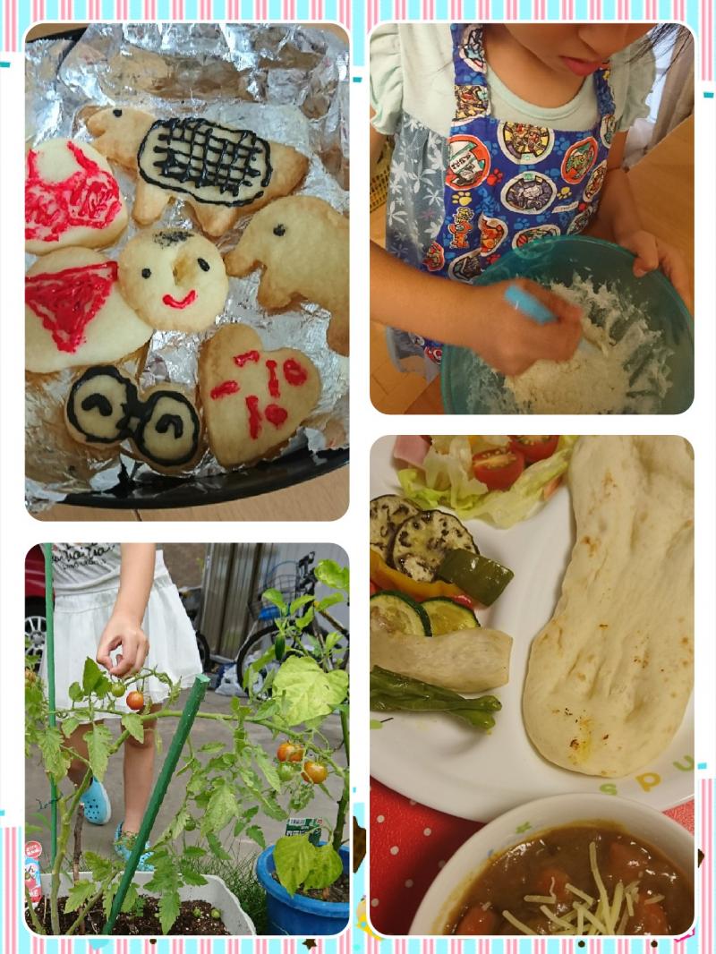 パパとココア(チワワ)の誕生日 コノコト｜北日本新聞webunプラス