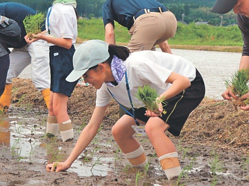 大阪の家族、泥んこ田植え 小矢部で元気村づくり塾、29人が体験｜北日本新聞webunプラス